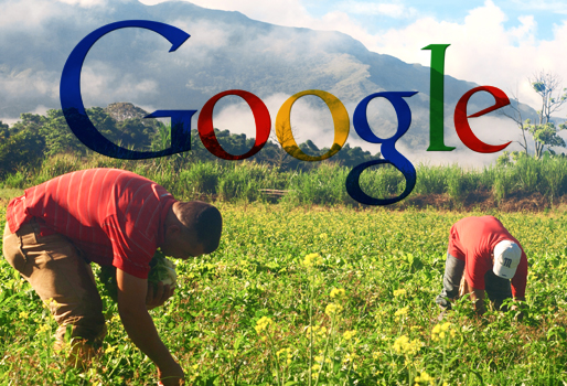 Google invierte USD$15 millones en el agro | CONtexto ganadero