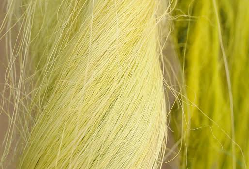 El fique quiere ser de talla mundial | CONtexto ganadero | Noticias ...