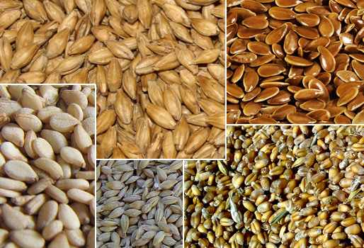 “Colombia requiere del uso de semilla de calidad”, Acosemillas ...