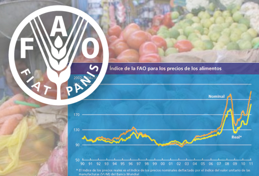 Precio de los alimentos sube en enero, según el índice de la FAO | CONtexto ganadero | Noticias ...