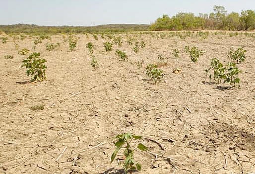 La salinización afecta el 45 % del territorio nacional | CONtexto ...