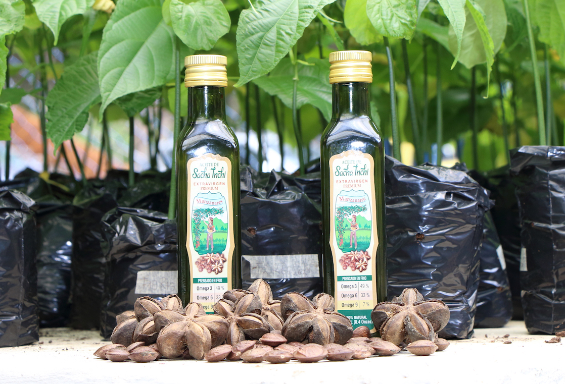 Desarrollan biotecnológicas para el cultivo sostenible de sacha inchi ...