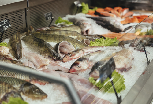 Conozca algunas claves para elegir el mejor pescado | CONtexto ganadero ...
