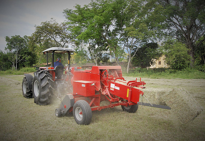Extensión rural, la misión para enfrentar las crisis agropecuarias ...
