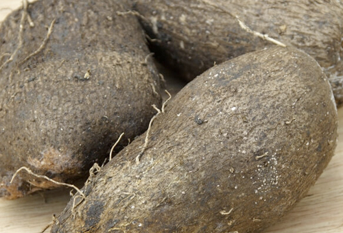 Todo lo que debe saber sobre el ñame | CONtexto ganadero