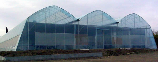 Agricultura: Invernaderos ‘inteligentes’, nueva alternativa de ...