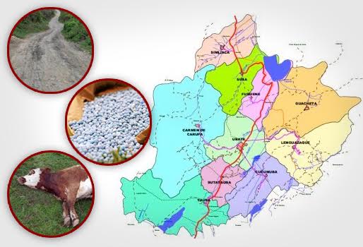 Regiones: La mala hora de los ganaderos del Valle de Ubaté | CONtexto ...