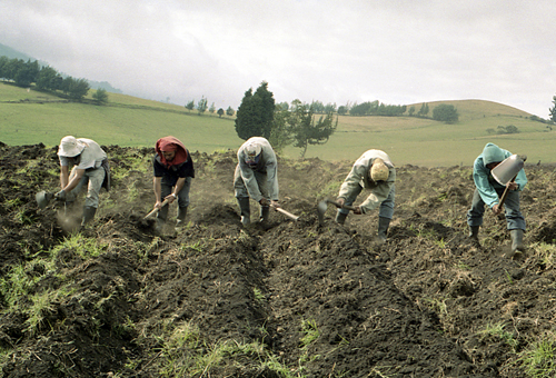Uniagraria promueve la Extensión y Desarrollo Rural | CONtexto ganadero ...