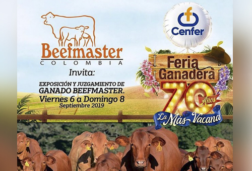 Participe en esta exposición y juzgamiento de ganado Beefmaster ...