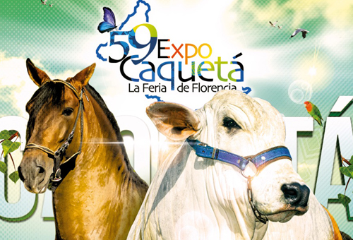 Feria de Caquetá comienza este jueves con la subasta ganadera ...
