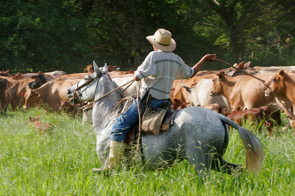 Un llanero es enamorado, fiestero y amante de su tierra | CONtexto ganadero