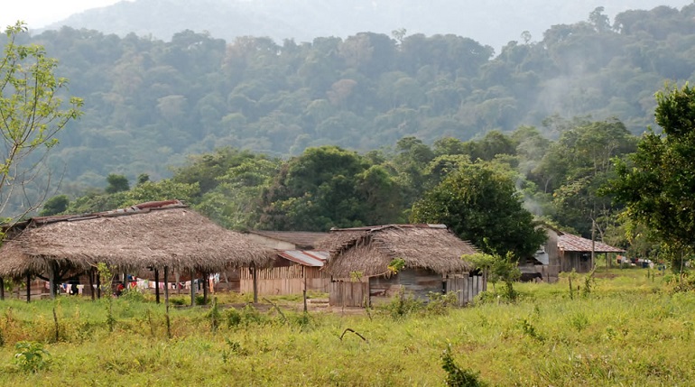 La biodiversidad es uno de los principales atractivos de El Catatumbo ...