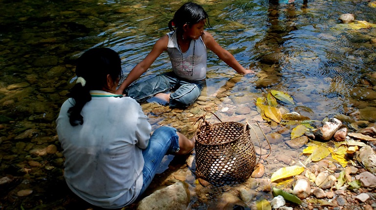 La biodiversidad es uno de los principales atractivos de El Catatumbo ...