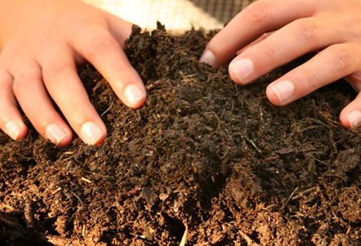Ganadería Sostenible: Utilice la porcinaza como fertilizante eficiente ...