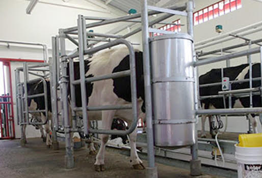 Los equipos de ordeño dejaron de ser un lujo | CONtexto ganadero ...