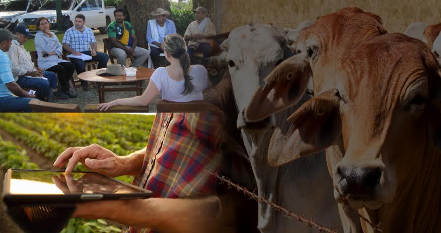 La gestión empresarial en ganaderías | CONtexto ganadero