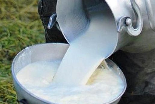Así se multiplican los microorganismos en la leche | CONtexto ganadero