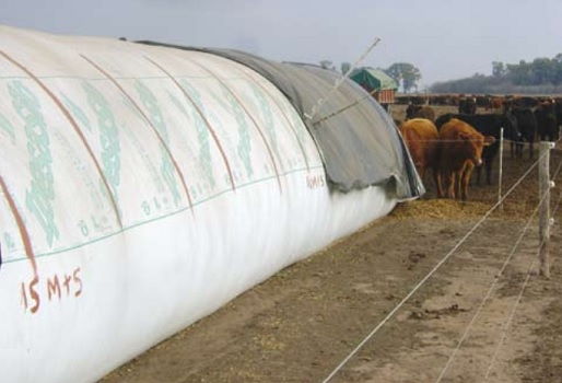 Ganadería Sostenible: Los principios que se deben tener en cuenta al alimentar el ganado ...