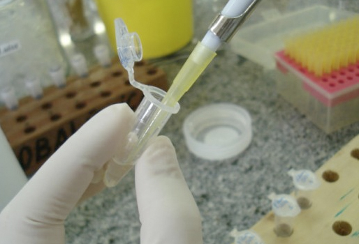 Parámetros para evaluación del semen bovino | CONtexto ganadero