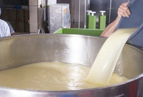 Por qué el permeado de suero aumenta la conversión alimenticia ...