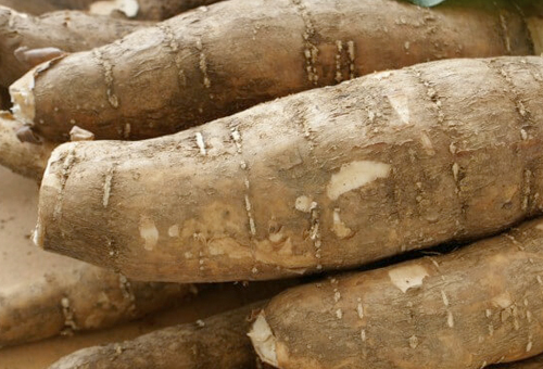 ¿Conoce usted las 5 variedades de yuca caracteristicas de Colombia ...