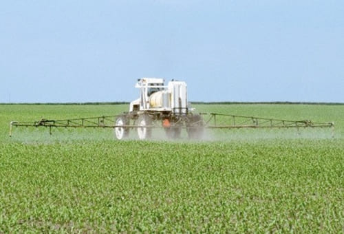 ¿Cuáles son los tipos de control químico para las malezas? | CONtexto ...