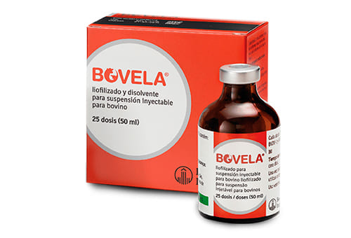 Boehringer Ingelheim trae a Colombia vacuna para la Diarrea Viral ...