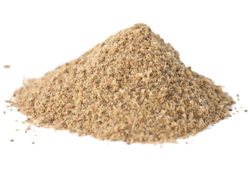 Harina de insectos, una alternativa para alimentación animal | CONtexto ...