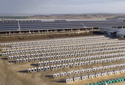 Qué son las macrogranjas y cómo han impactado la ganadería española ...