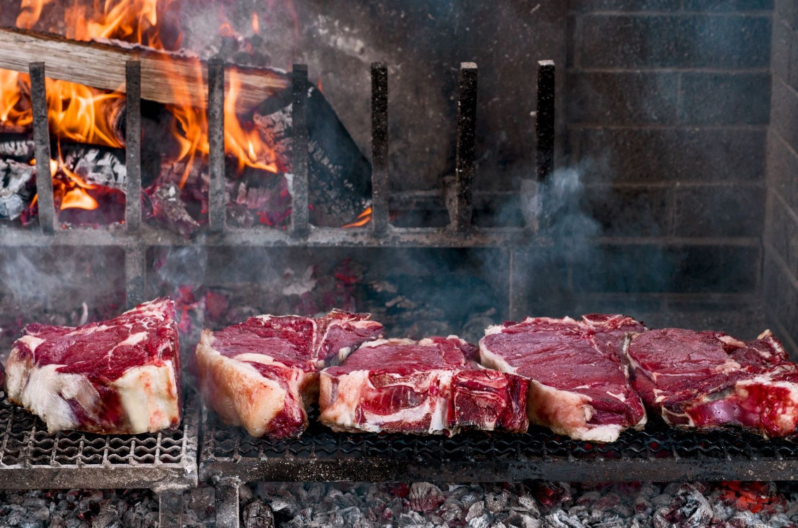 Atributos de la grasa de la carne de res para la salud humana ...