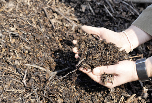 Aproveche el estiércol de su finca y véndalo | CONtexto ganadero