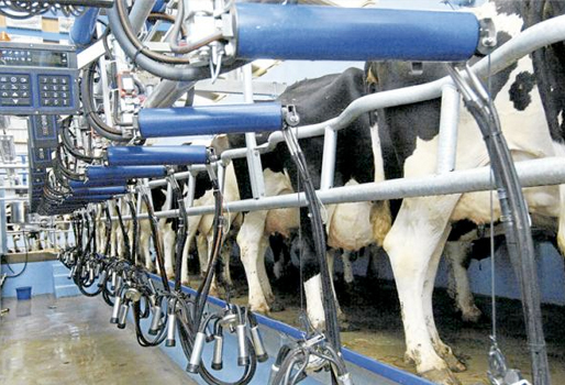 Estos son los ‘gadgets’ ideales para un buen ordeño | CONtexto ganadero