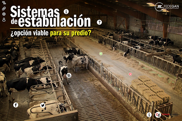 Informe: Sistemas de estabulación, ¿una apuesta arriesgada para su ...