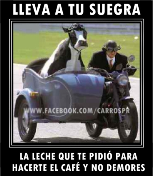 Los 10 mejores memes de vacas | CONtexto ganadero