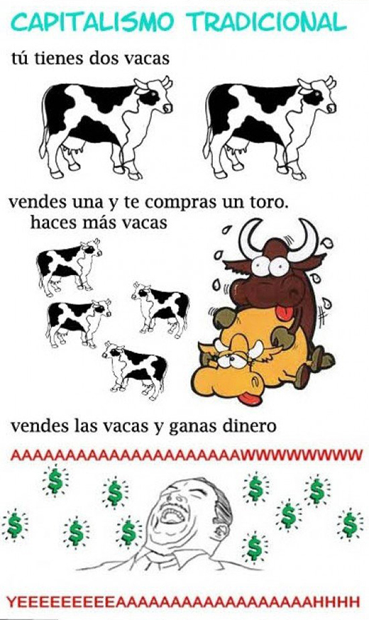 Los 10 mejores memes de vacas | CONtexto ganadero