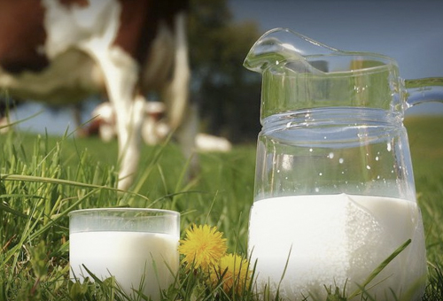 Europa da ejemplo y sólo acepta leche de origen animal | CONtexto ganadero