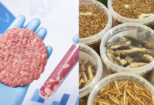 En Reino Unido, consumidores comerán carne e insectos cultivados en ...