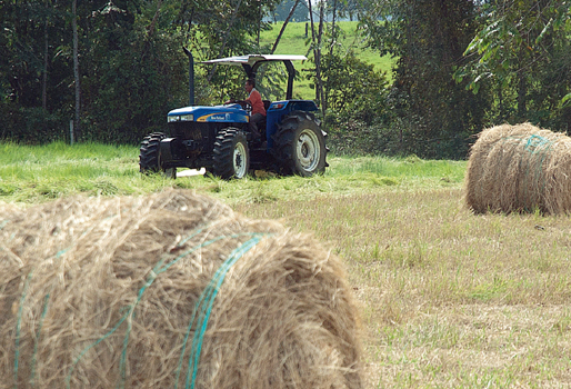 ¿Cómo optimizar el uso de equipos para elaborar forraje de calidad ...