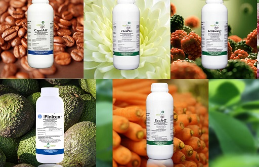 Ecoflora, modelo de superación y dedicación | CONtexto ganadero