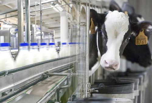 (REPORTAJE) Panorama favorable para el sector lácteo a 2031 revelan FAO ...