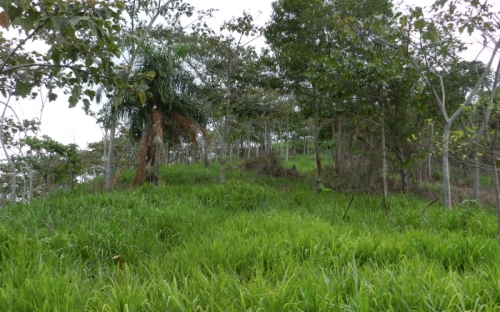 Fincas ecológicas, pasaron de ser moda para convertirse en tendencia ...