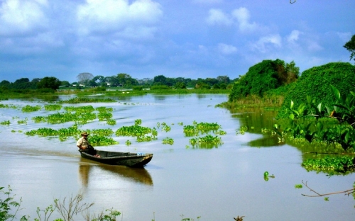 La biodiversidad es uno de los principales atractivos de El Catatumbo ...