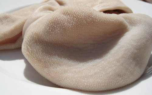 Así funciona el aparato digestivo de los bovinos | CONtexto ganadero