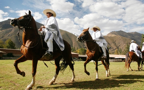 Los diferentes nombres de ganaderos en países de América | CONtexto ...