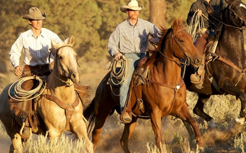 Los diferentes nombres de ganaderos en países de América | CONtexto ...