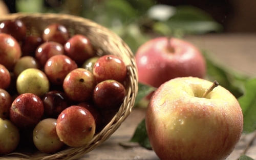 El proyecto que protege el Amazonas vendiendo los jugos de sus ...