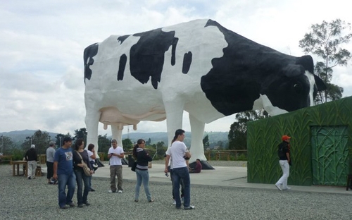 En Antioquia está la vaca más grande del mundo | CONtexto ganadero ...