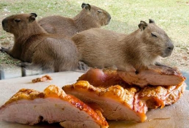 Reglamentan aprovechamiento del chigüiro, tras 10 años de espera ...