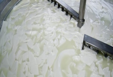 ¿Qué más sabemos del cuajo? | CONtexto ganadero | Noticias principales ...