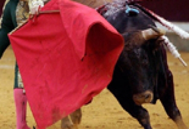 Sebastián Cáqueza corta oreja | CONtexto ganadero